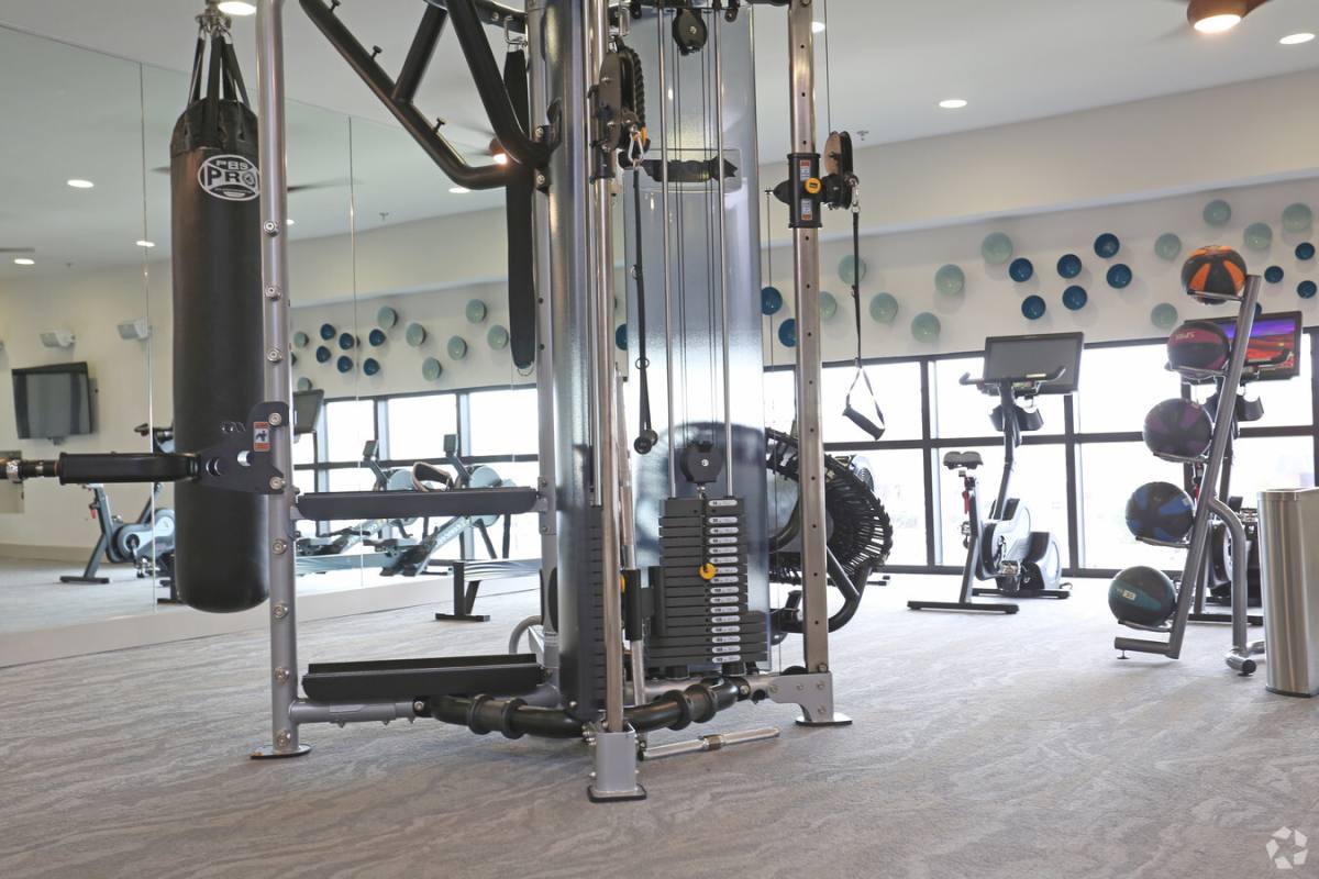 8820 Westheimer Rd #88T, Houston, TX 77063 | RentalSource