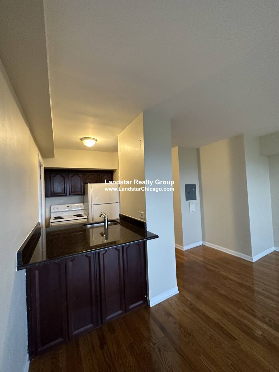 4180 N Marine Dr, Chicago, IL 60613 - $1,570+ | RentalSource